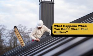 What Happens When Don’t Clean Gutters?